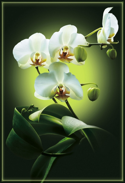 Фотообои бумажные глянцевые Лунная соната 134*196 см (4 листа) купить на OZON по низкой цене ...