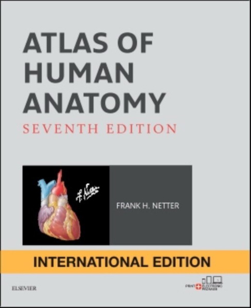 Atlas of human Anatomy - 7 IE | Netter Frank H. - купить с доставкой по ...