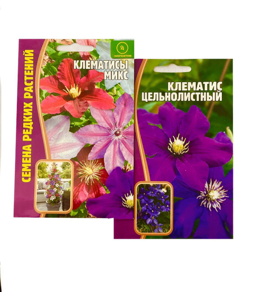 Клематис, Клематисы цветов для сада Клематисы Микс и цельнолистный ...