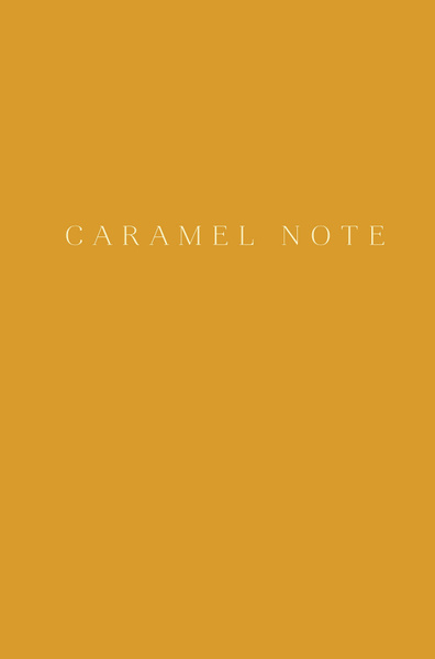 Caramel Note. Блокнот с карамельными страницами - купить с доставкой по ...