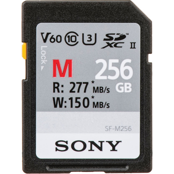 Sony Карта памяти 256 ГБ - купить с доставкой по выгодным ценам в ...