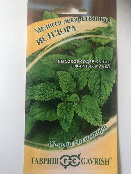 Разнообразные комнатные, Пряные травы Гавриш trava2 - купить по ...