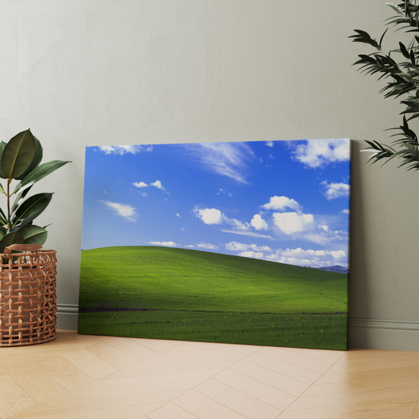 Картина на холсте (виндовс хр windows xp хп) 40x60 см/для интерьера/в ...