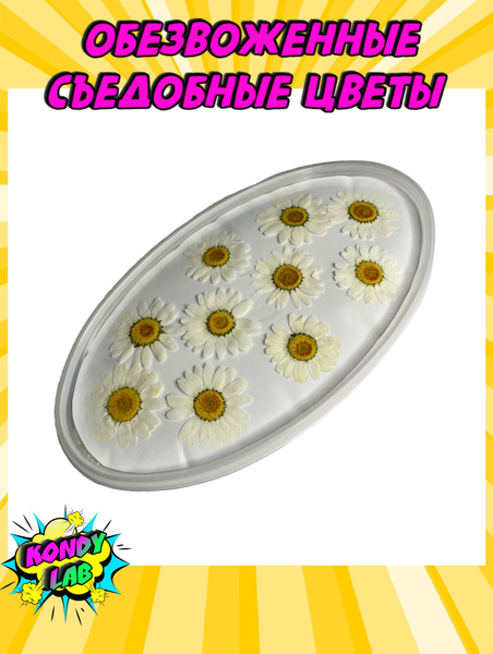 Обезвоженные съедобные цветы ромашки, 10шт купить на OZON по низкой ...