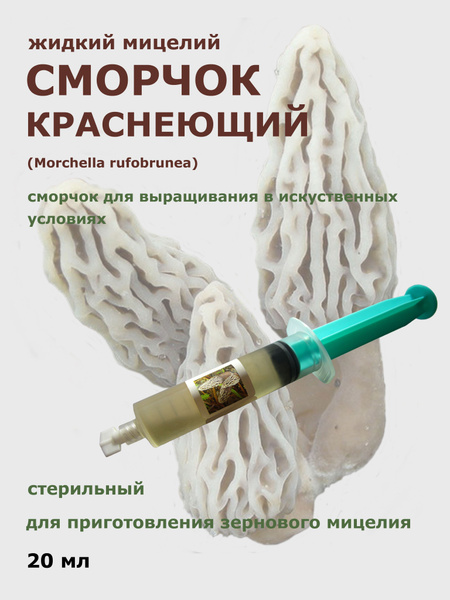Жидкий мицелий грибов Сморчок краснеющий 20 мл. - купить по выгодным ...