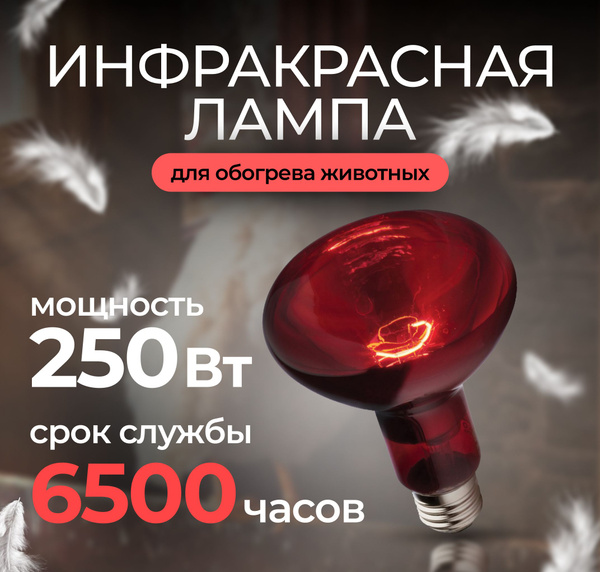 Инфракрасная лампа для курятника, цыплят, животных ИКЗК 220-250 R127 ...