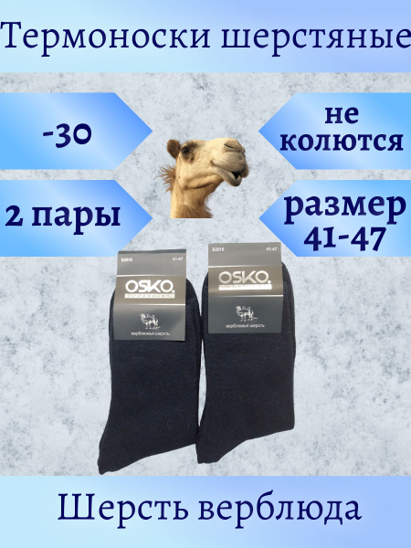 Носки Osko, 2 пары - купить с доставкой по выгодным ценам в интернет-магазине OZON (813979697)