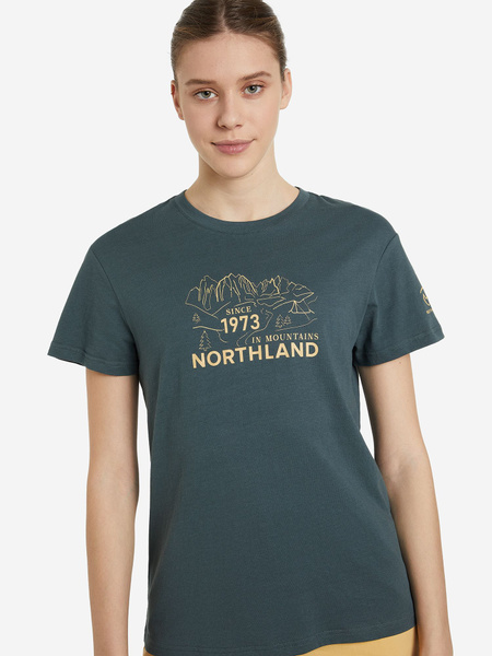 Футболка Женский Northland серый, размер 42, 44 Хлопок Повседневный Бангладеш Туризм купить c ...