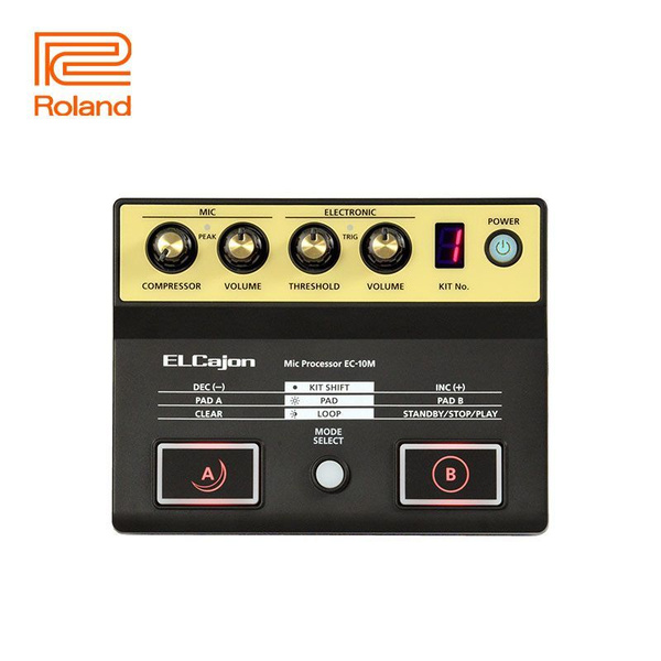 Гитарный комбоусилитель Roland - EC-10M, Roland EC-10M - купить в интернет-магазине OZON с ...