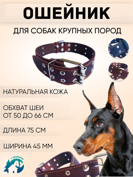 Ошейник для собак крупных пород кожаный, широкий - купить с доставкой ...