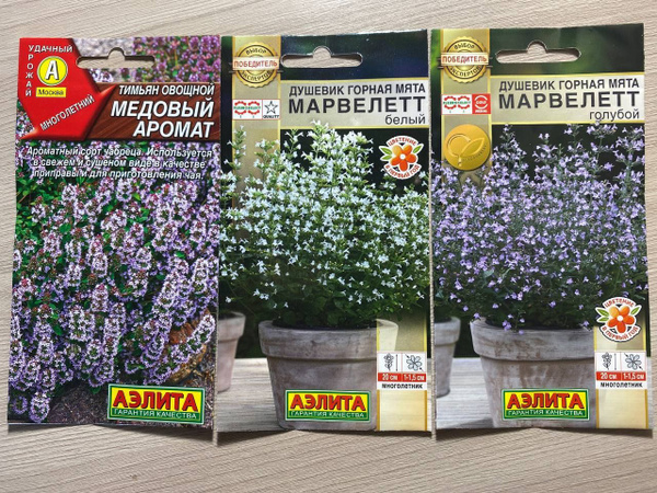 Многолетники для альпийской горки, Маргаритки Агрофирма Аэлита ...