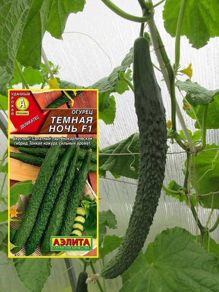 Огурцы Агрофирма Аэлита о3 - купить по выгодным ценам в интернет ...