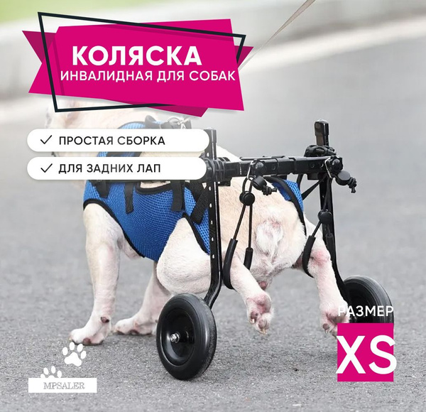 Инвалидная коляска для собак и кошек. Размер XS купить на OZON по ...