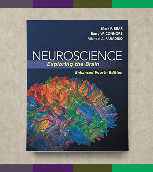 Учебники Neuroscience: Exploring the Brain 4th - купить с доставкой по ...