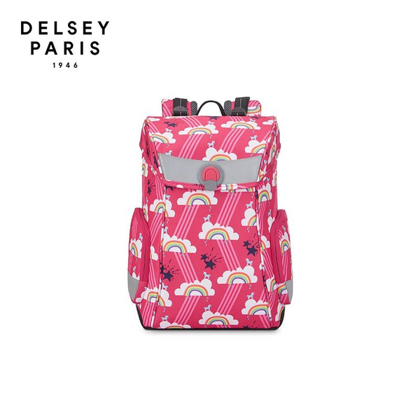Delsey Рюкзак - купить с доставкой по выгодным ценам в интернет ...