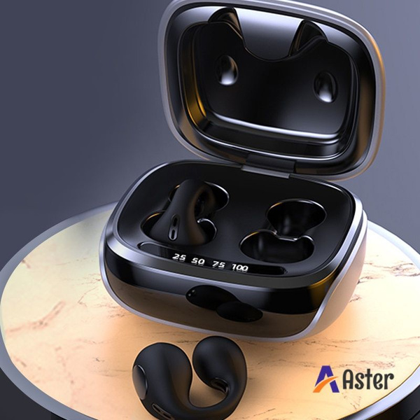 Наушники Внутриканальные Aster #601099526958854 - купить по доступным ценам в интернет-магазине ...