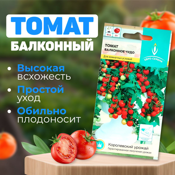 Томаты Евро-Семена томат - купить по выгодным ценам в интернет-магазине ...