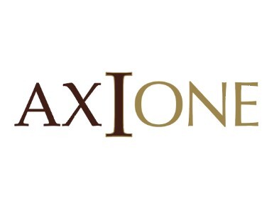 AXIONE — купить товары AXIONE в интернет-магазине OZON