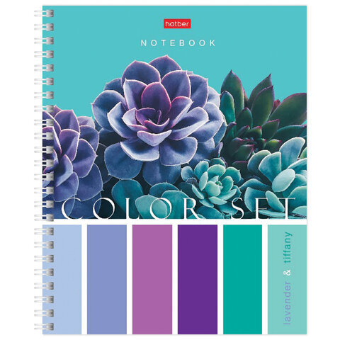 Тетрадь Hatber, 3 шт., листов: 80 купить на OZON по низкой цене (761165385)