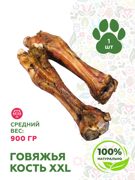 Нога говяжья кость большая XXL Top Lap, 1 шт / Лакомства для собак ...
