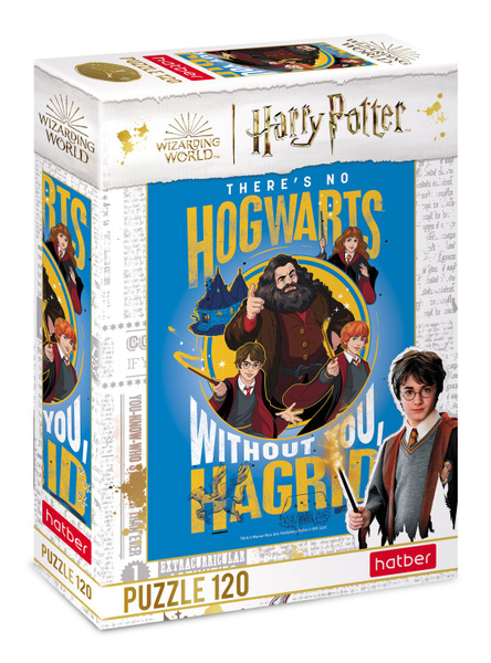 Пазлы Hatber 120 элементов А5ф 165х230мм -Гарри Поттер- - купить с доставкой по выгодным ценам в ...