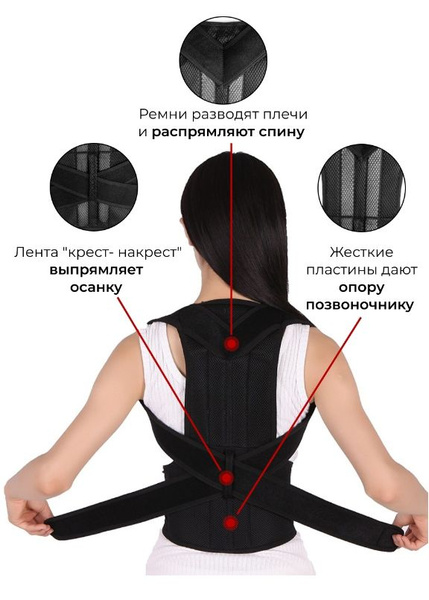 Корсет ортопедический грудопоясничный купить на OZON по низкой цене ...