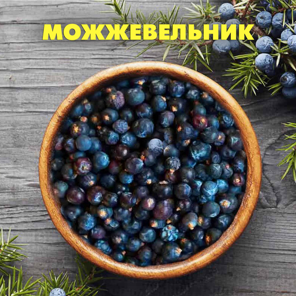 GREEN LEAF Можжевельник плоды, 100 гр / Ягоды сушеные можжевельника ...