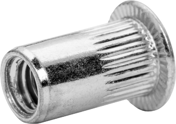 RAPID R:Rivets заклепка резьбовая М5, 20 шт (5000672) купить на OZON по ...