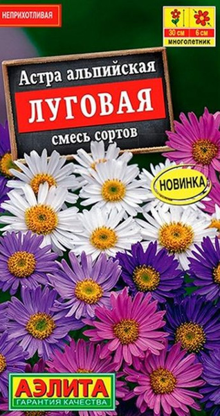 Астры многолетние Агрофирма Аэлита 4650-ASTRA - купить по выгодным ...