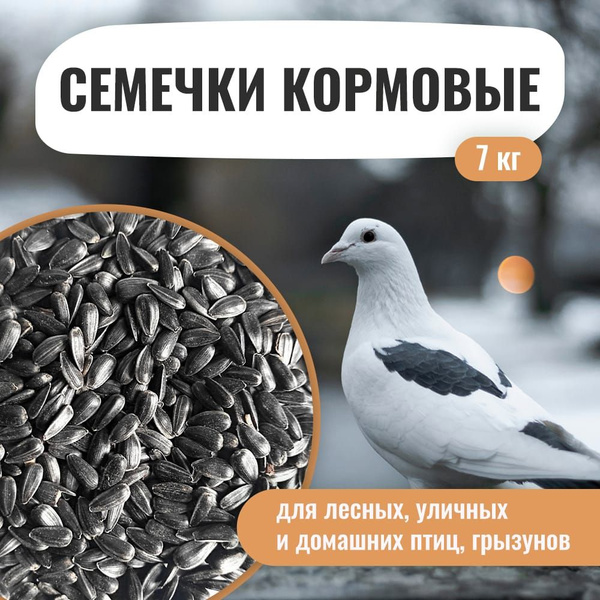 Семечки подсолнечника 7 кг. Сырые, неочищенные. Корм для лесных уличных ...