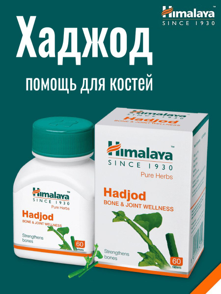 Хаджод (Hadjod Himalaya) укрепляет кости/ускоряет срастание и ...