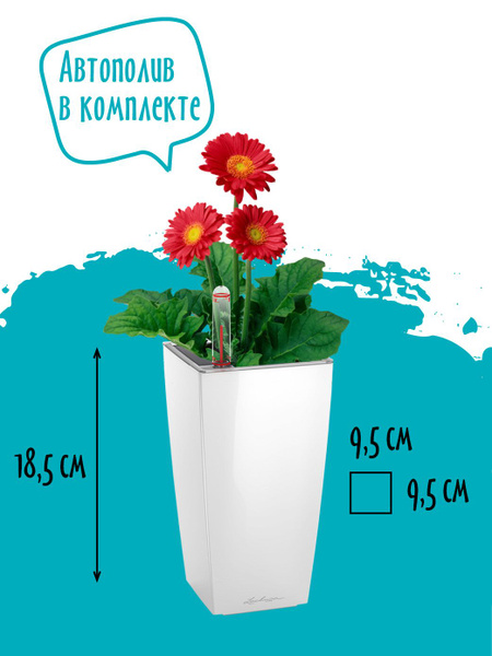 Кашпо для цветов с автополивом пластиковое Lechuza MINI CUBI Table ...