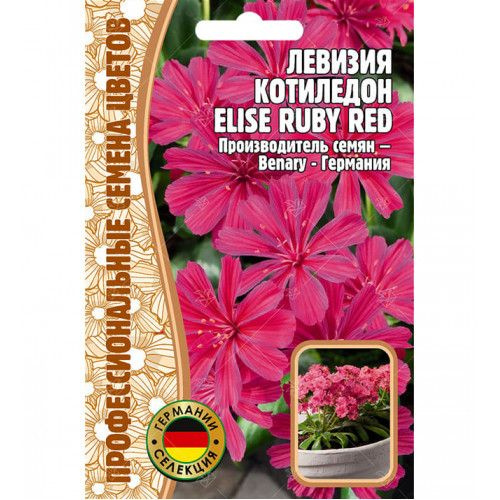 Левизия Редкие семена НФ-00012092 - купить по выгодным ценам в интернет ...