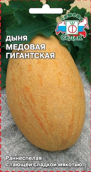 Дыни Семена СеДек Дыня_желтый - купить по выгодным ценам в интернет ...