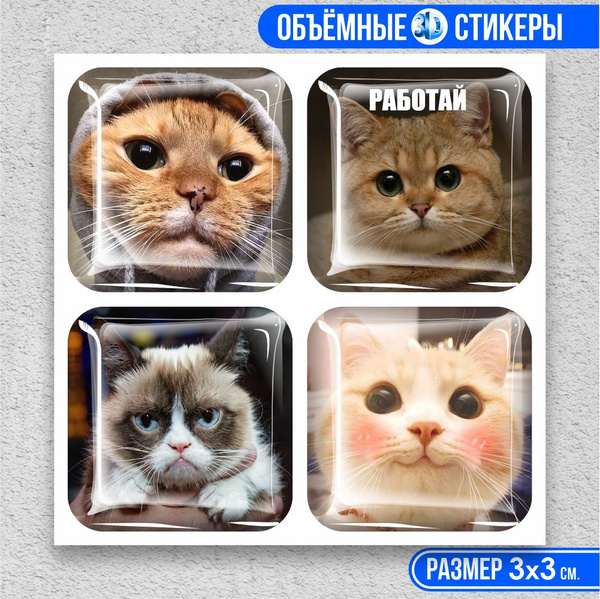 3d наклейка на телефон Набор объемных наклеек 4 шт Котики коты мемы купить с доставкой по