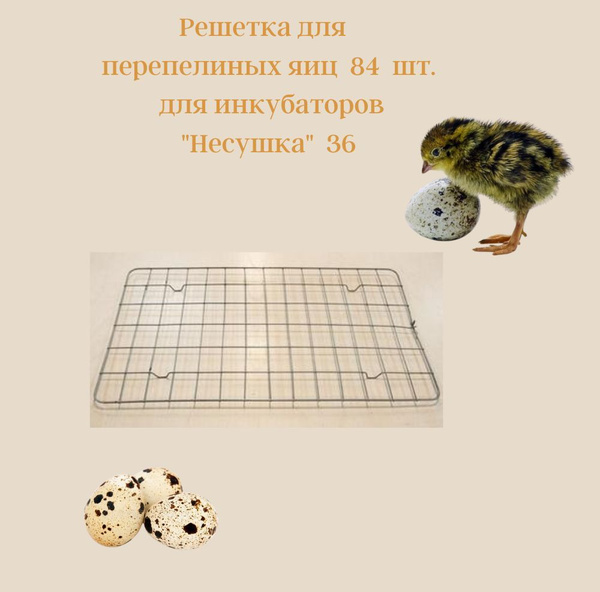 Решетка для перепелиных яиц на 84 ячейки для инкубатора Несушка 36, №3 ...