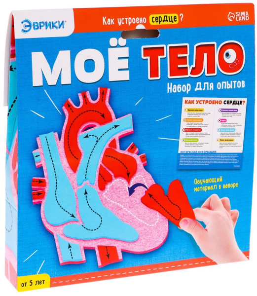 Набор для опытов "Моё тело. Сердце", обучающая игра для детей, в ...