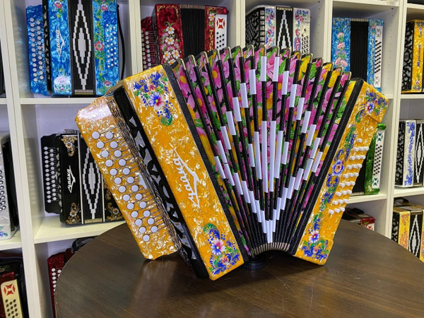 Гармонь шуйская S5XL "Чайка-314" - купить с доставкой по выгодным ценам в интернет-магазине OZON ...