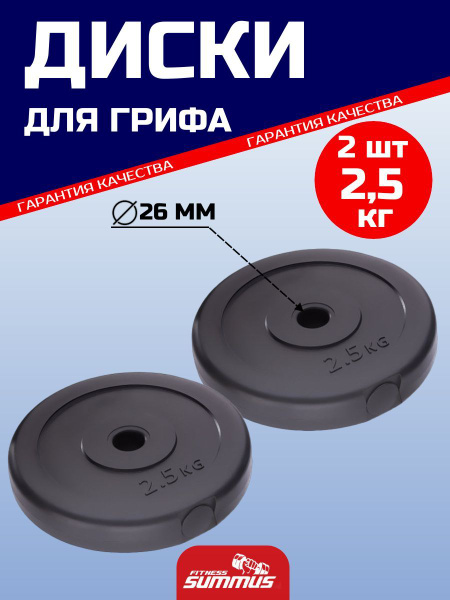 Диски пластиковые для грифа Summus, 2 шт. по 2,5 кг, d-26мм, арт. 500 ...