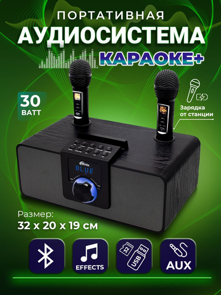Портативная колонка-плеер RITMIX SP-660B black, Bluetooth, 2 ...