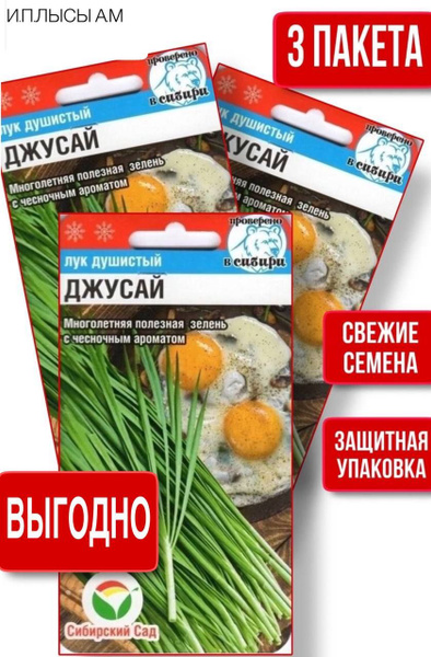 Лук Сибирский сад Лук душистый Джусай_3 - купить по выгодным ценам в ...