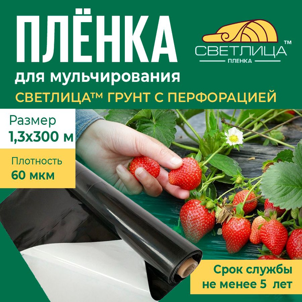 Характеристики Пленка для мульчирования Светлица Грунт с перфорацией ...