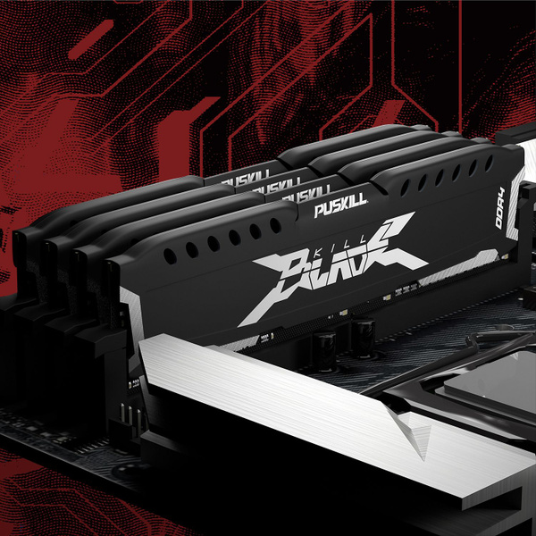 Модуль оперативной памяти PUSKILL KLDDR4 Desktop Memory8 ГБ (PSK ...