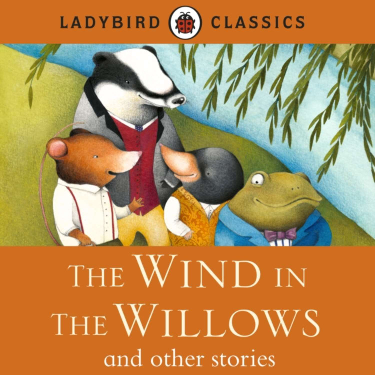 Цифровая аудиокнига "LADYBIRD CLASSICS" Bavidge Rachel – купить книгу с ...
