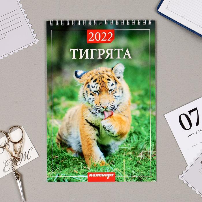 Календарь на пружине без ригеля "Символ года. Вид 3" 17х25 см, 2022 год ...