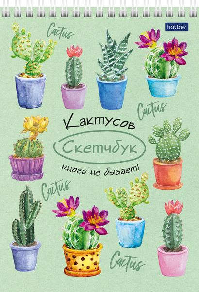 Скетчбук Hatber Premium "Кактусов много не бывает", 80 листов, формат А5, внутренний блок 100 г ...