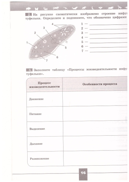 Пасечник Биология 7 кл. Рабочая тетрадь ("Линия жизни") | Пасечник В ...