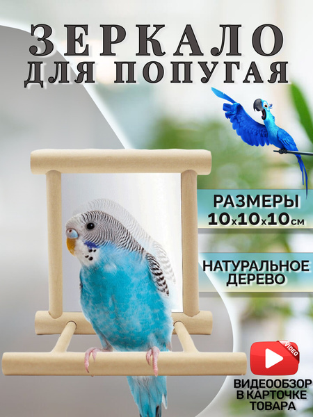Зеркало для попугая - купить с доставкой по выгодным ценам в интернет ...