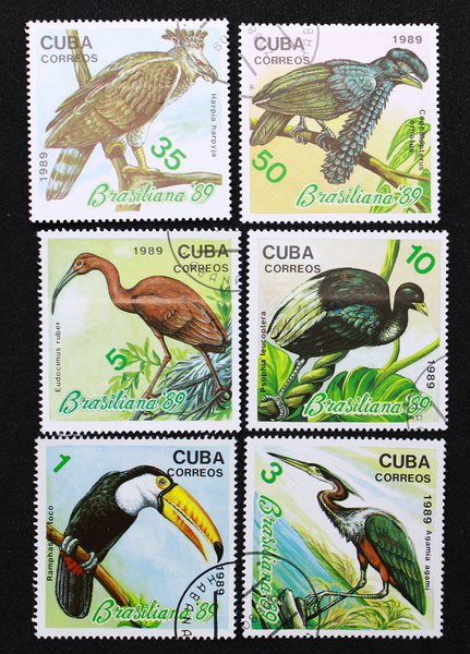 Марка, Фауна, сохранность Extremely Fine (XF) / Отличная, Куба купить по низкой цене в интернет ...