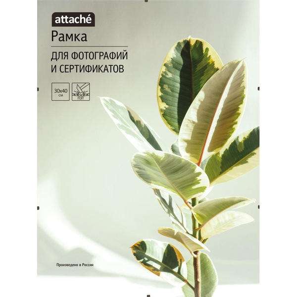 Фоторамка Attache, 1 фото купить по выгодной цене в интернет-магазине OZON (1230497548)